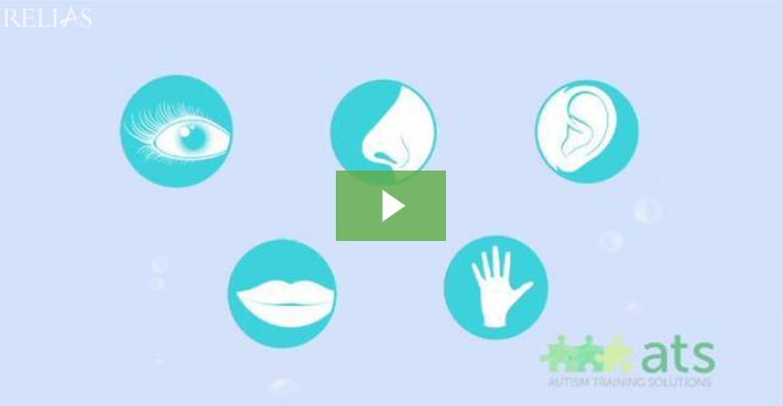 Examples of Tacts [Video]