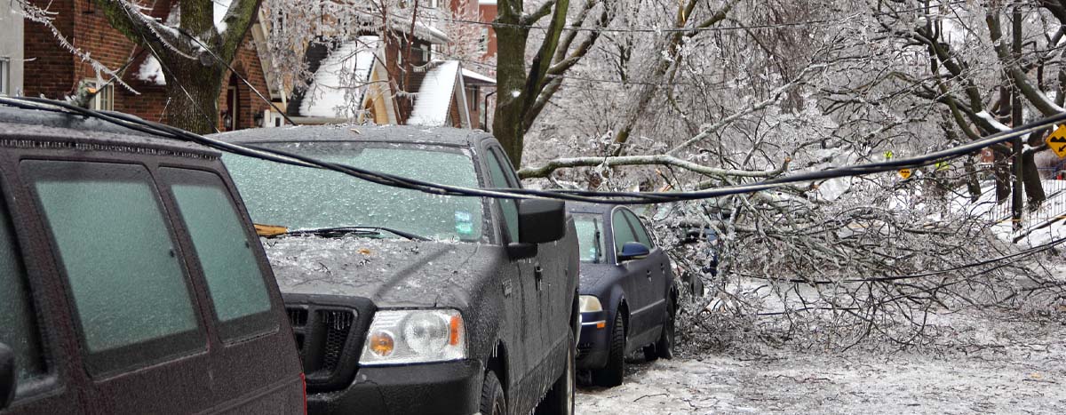 Winter Storm Preparedness and Response Resources | Relias